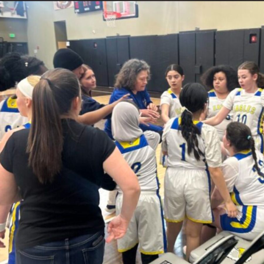 ‘It feels like home’: Deaf basketball tournament brings hard of hearing ...